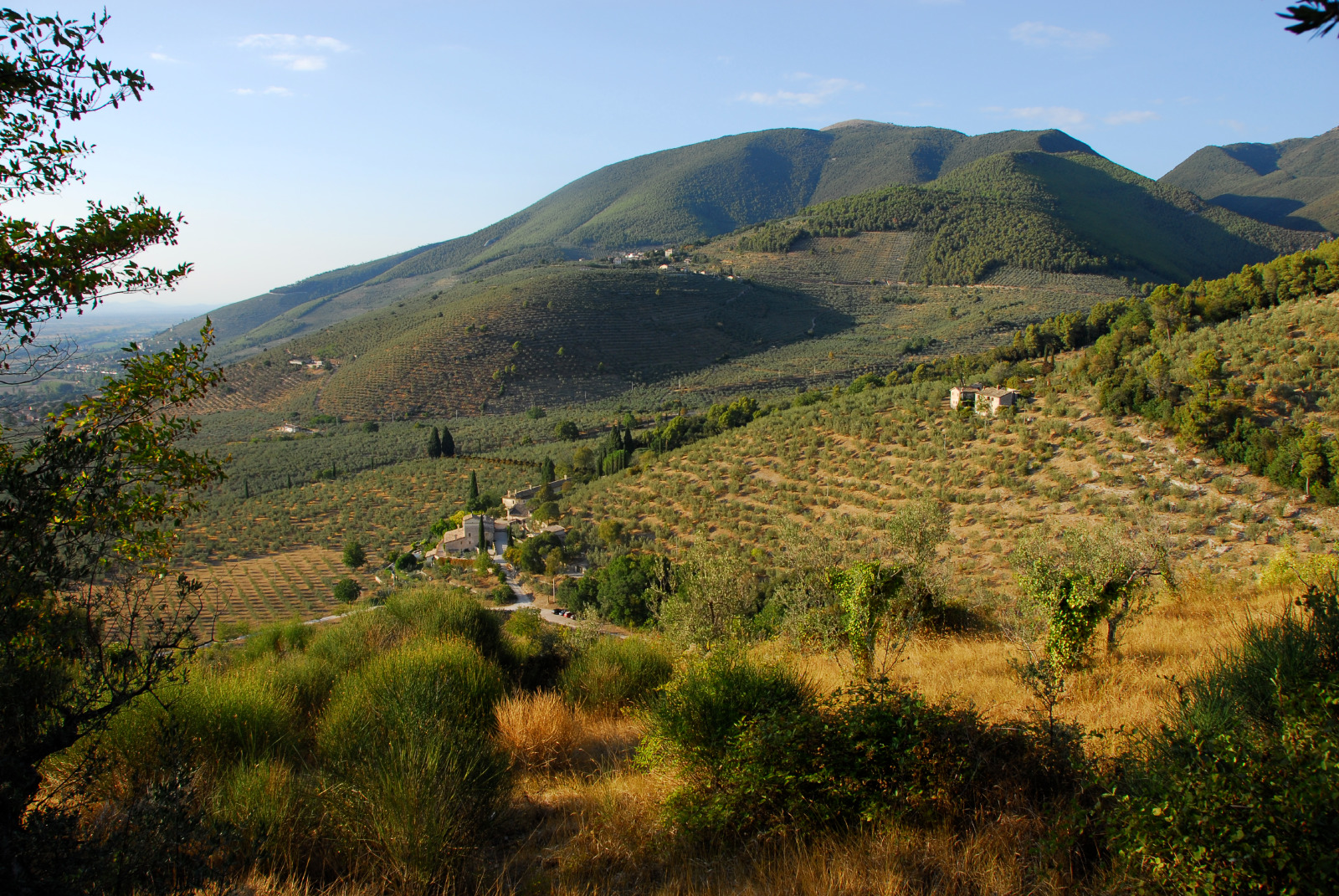 Paesaggi rurali storici: la Fascia Olivata Assisi - Spoleto nel ...