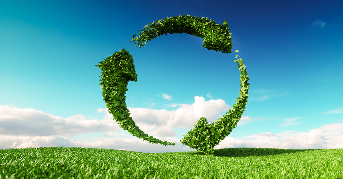 Riciclo e riuso degli scarti agro-alimentari, via alla rilevazione ...